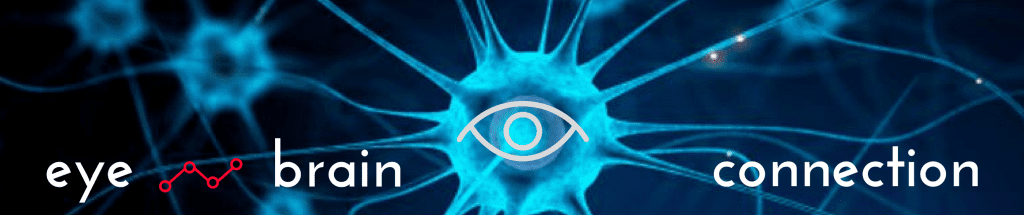 Vision Plans - Eye Brain Connection